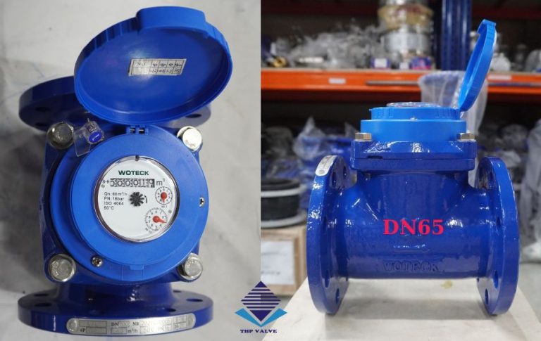 TOP 5 đồng hồ nước DN65 cao cấp - Nhập khẩu 100%