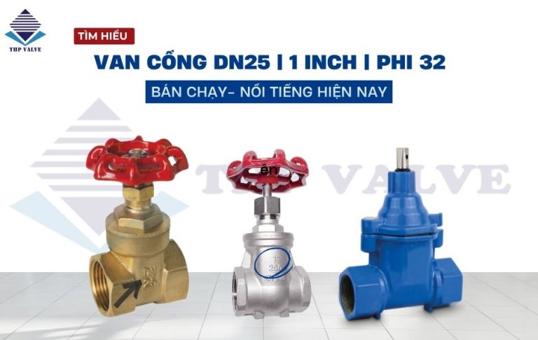 Top 6 mẫu van cổng DN25 Chất lượng hàng đầu - Chính xác cao